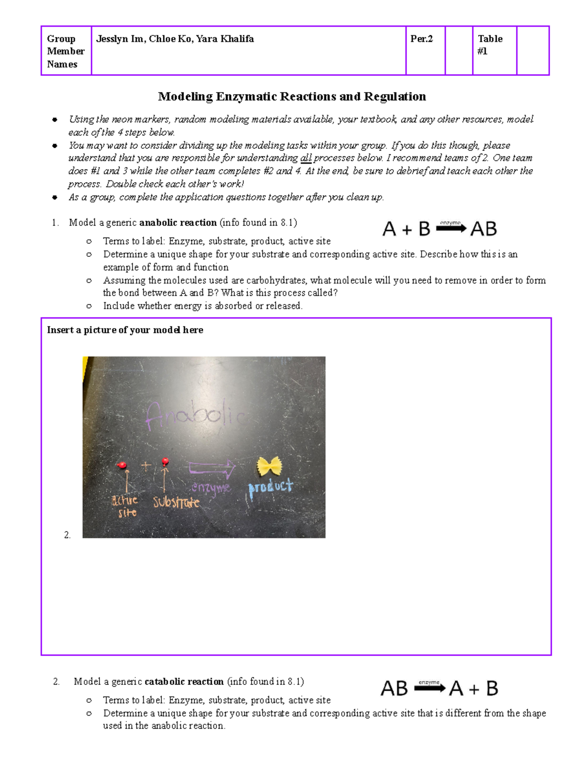 Modeling Enzymatic Reactions and Regulation - Group Member Names ...