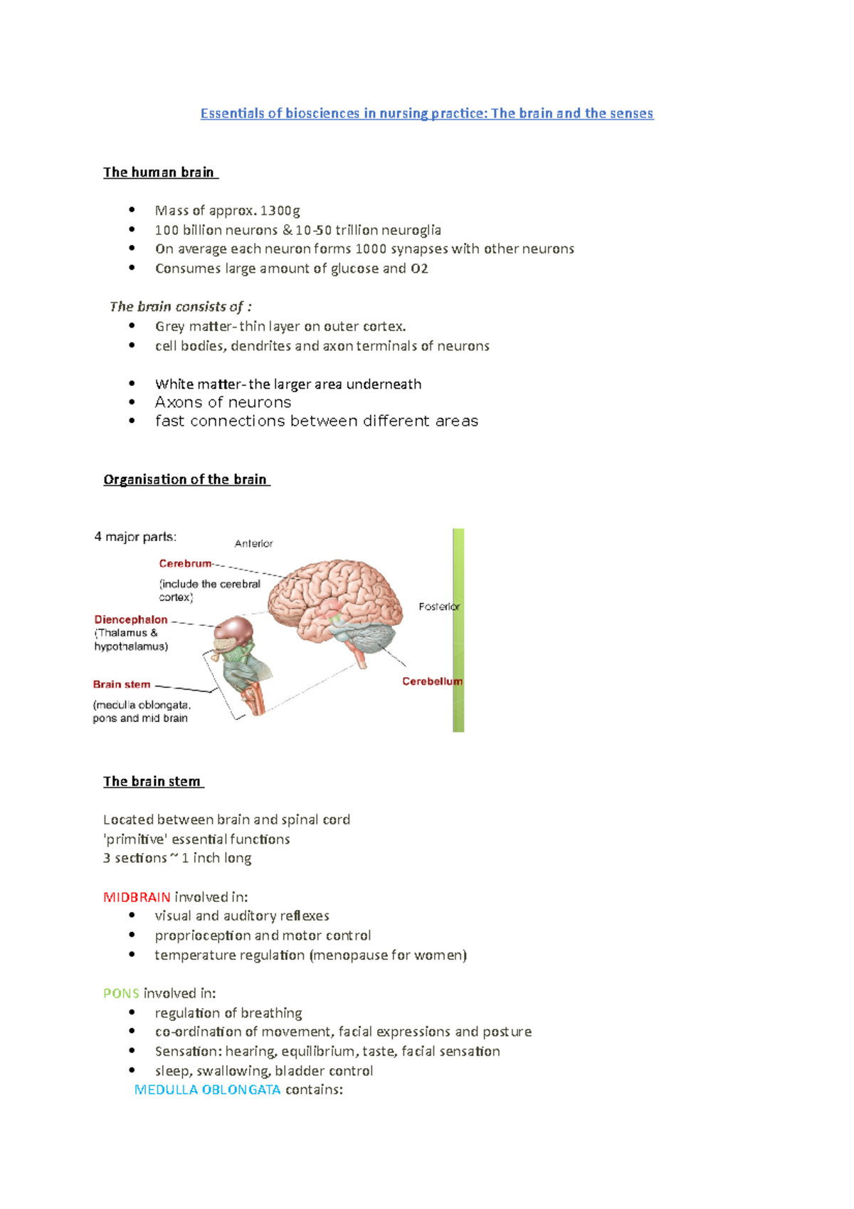 The brain - Lecture notes 1 - Essentials of biosciences in nursing ...