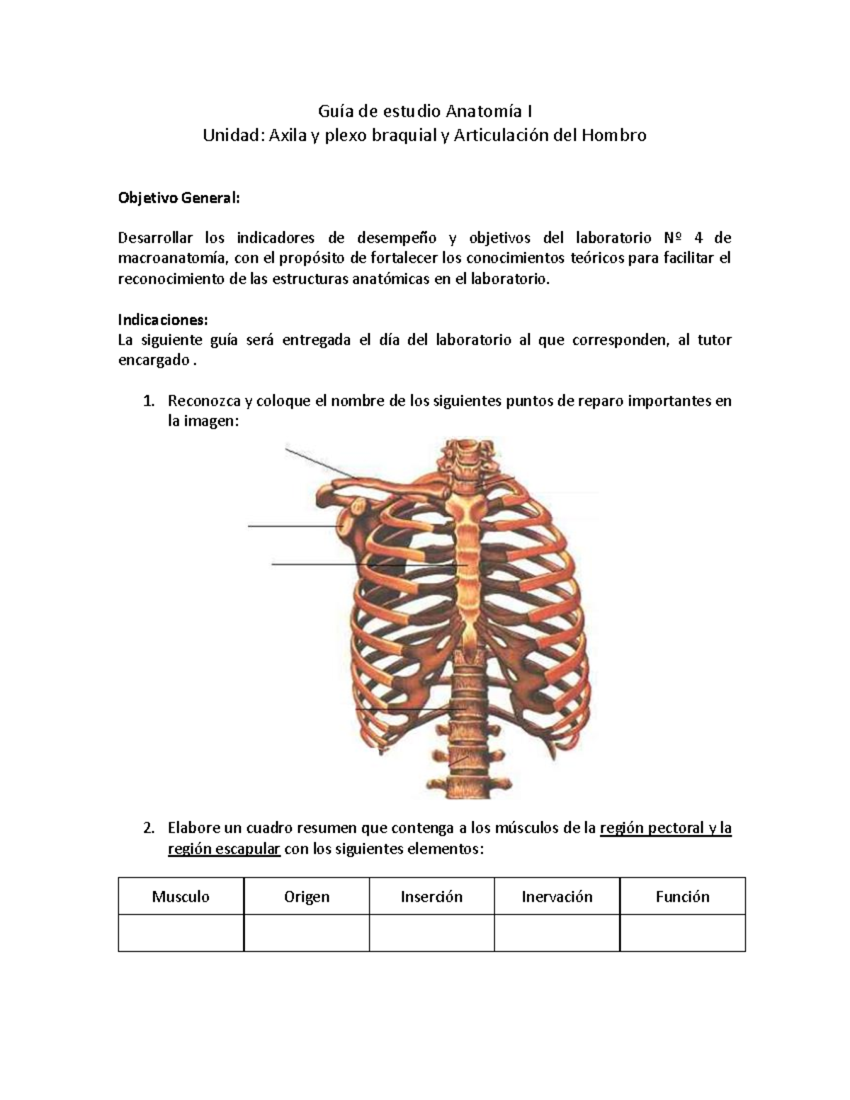 Anato - Bzbz - Guía de estudio Anatomía I Unidad: Axila y plexo ...