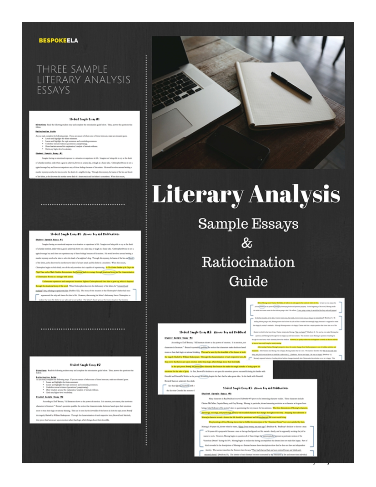 Mini-lesson 1 Sample Literary Analysis Essays - Mini-lesson #1a ...