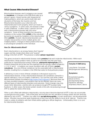 DNA worksheet - DNA concepts - ####### DNA - The Double Helix The ...