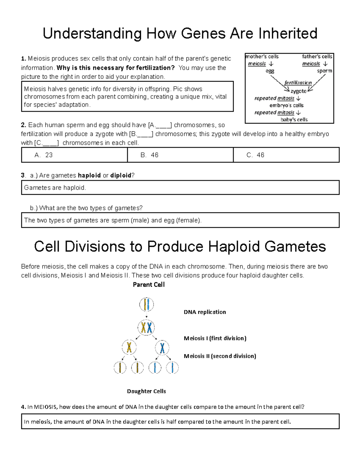 Understanding How Genes Are Inherited - Understanding How Genes Are ...