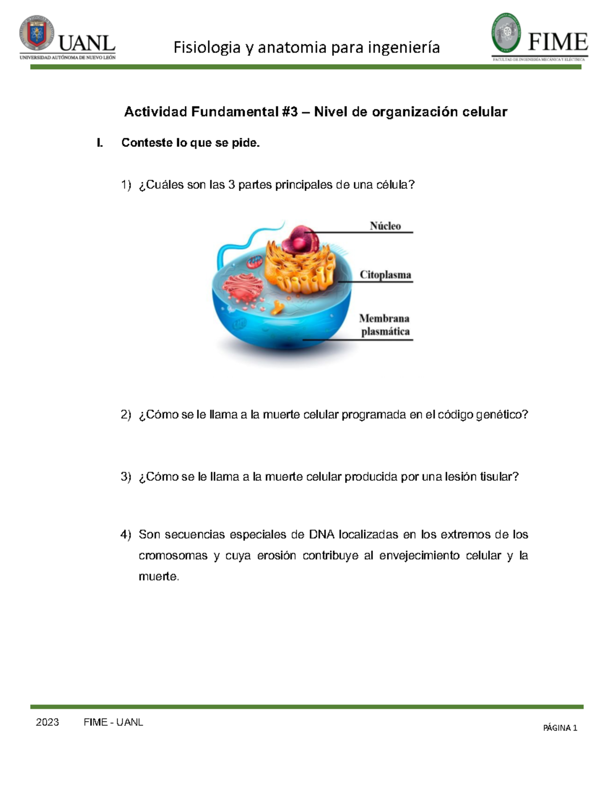 AF3. Nivel DE Organización Celular - Actividad Fundamental #3 – Nivel ...