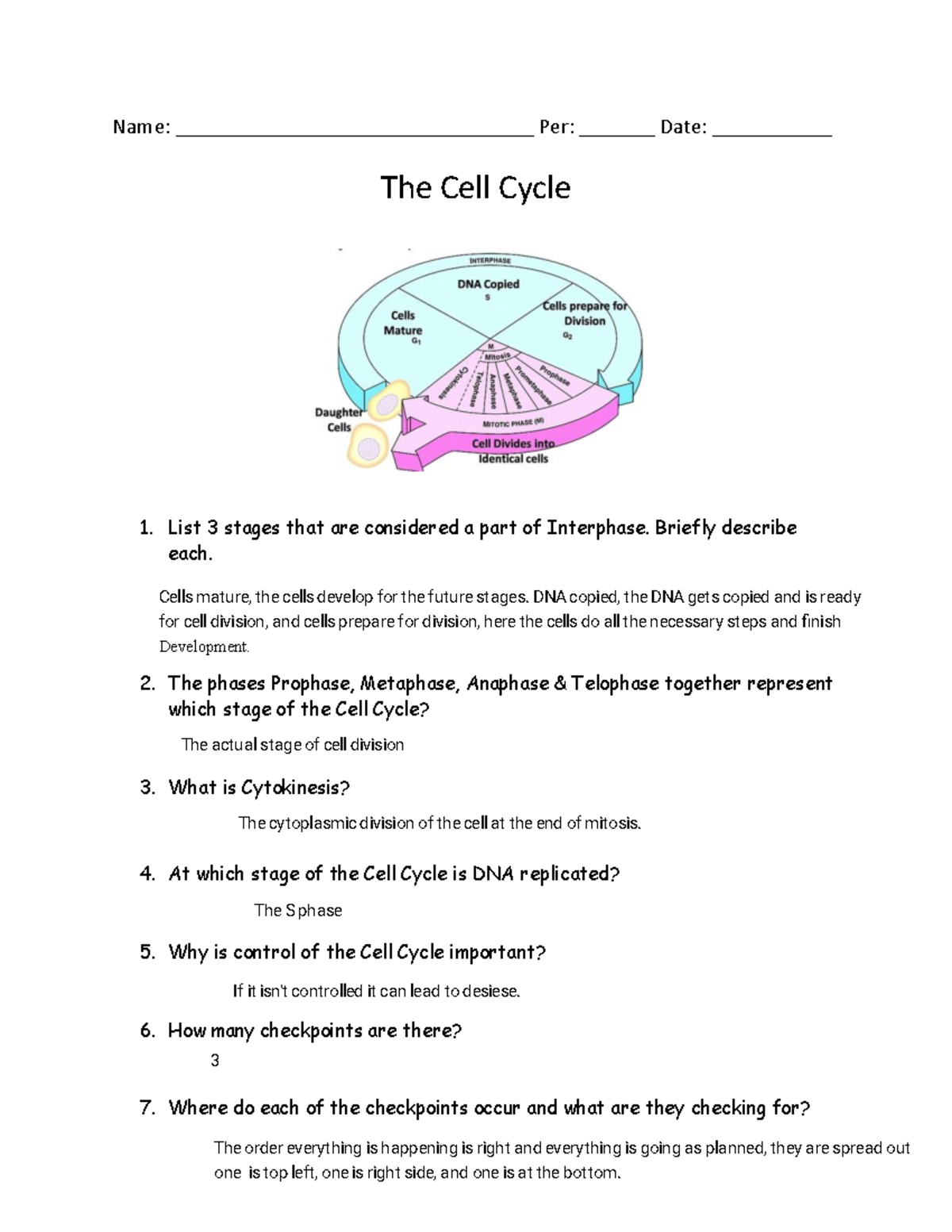 Kami Export - EVAN Mazzarella - Cell Cycle Intro worksheet - Name
