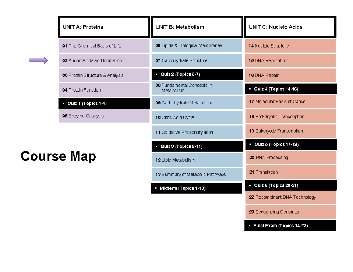 Bio Chem Topic 2 Slides - Course Map UNIT A: Proteins 0101 The Chemical ...