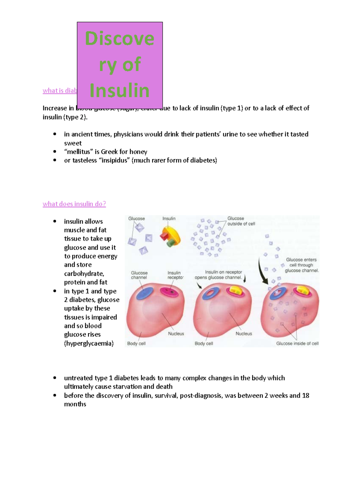 Discovery of insulin - what is diabetes? Increase in blood glucose ...