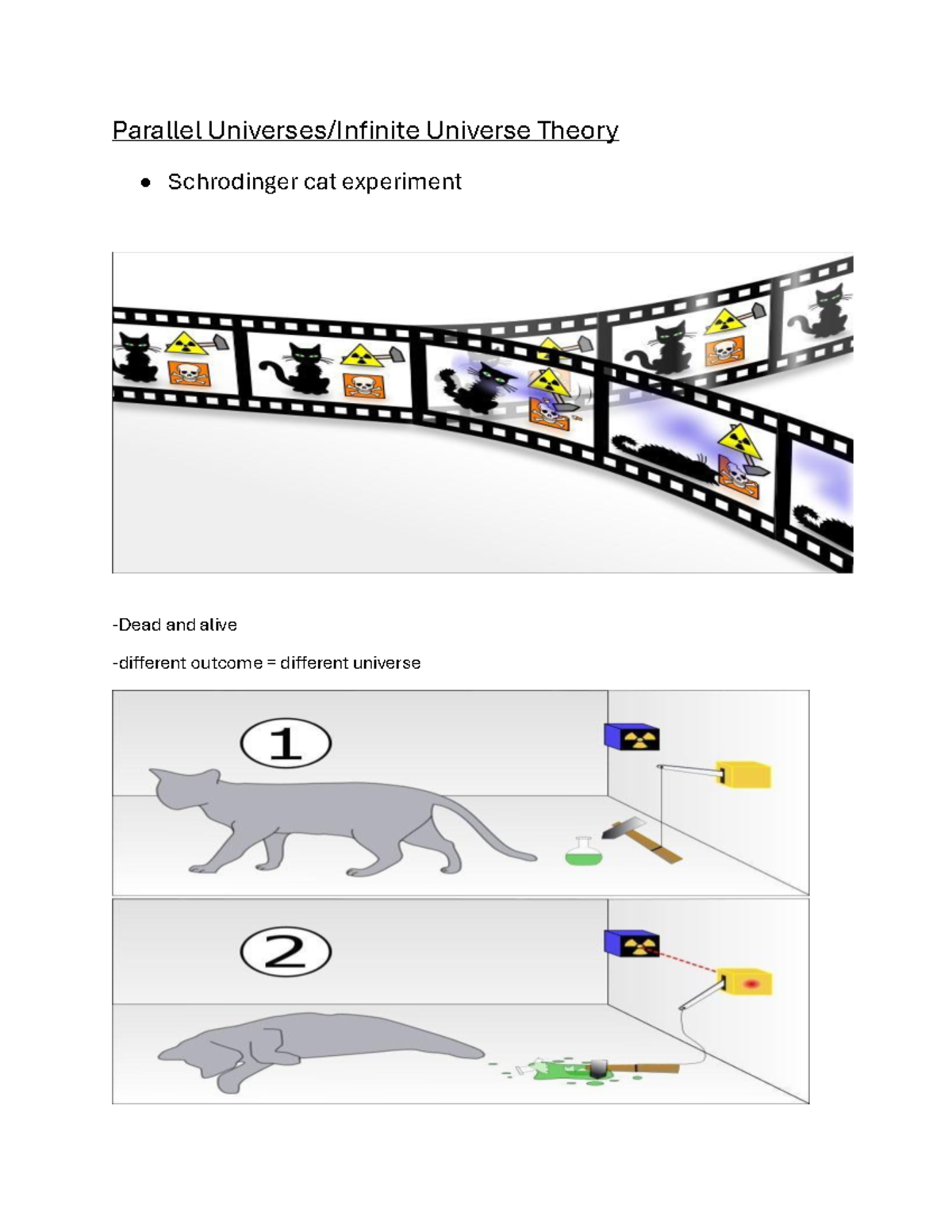 Term 3 conspiracy theory example - Parallel Universes/Infinite Universe ...