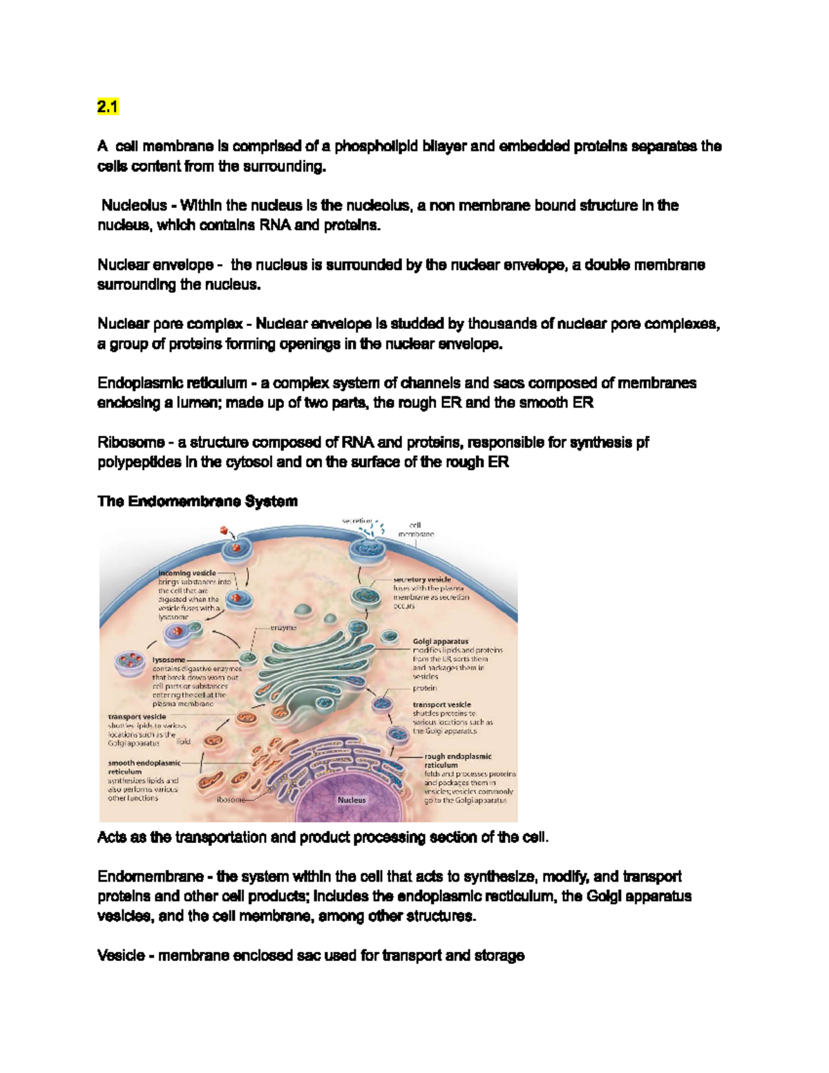 Biology Grade 11 - Unit 2 - Chapter 2 Notes - Studocu