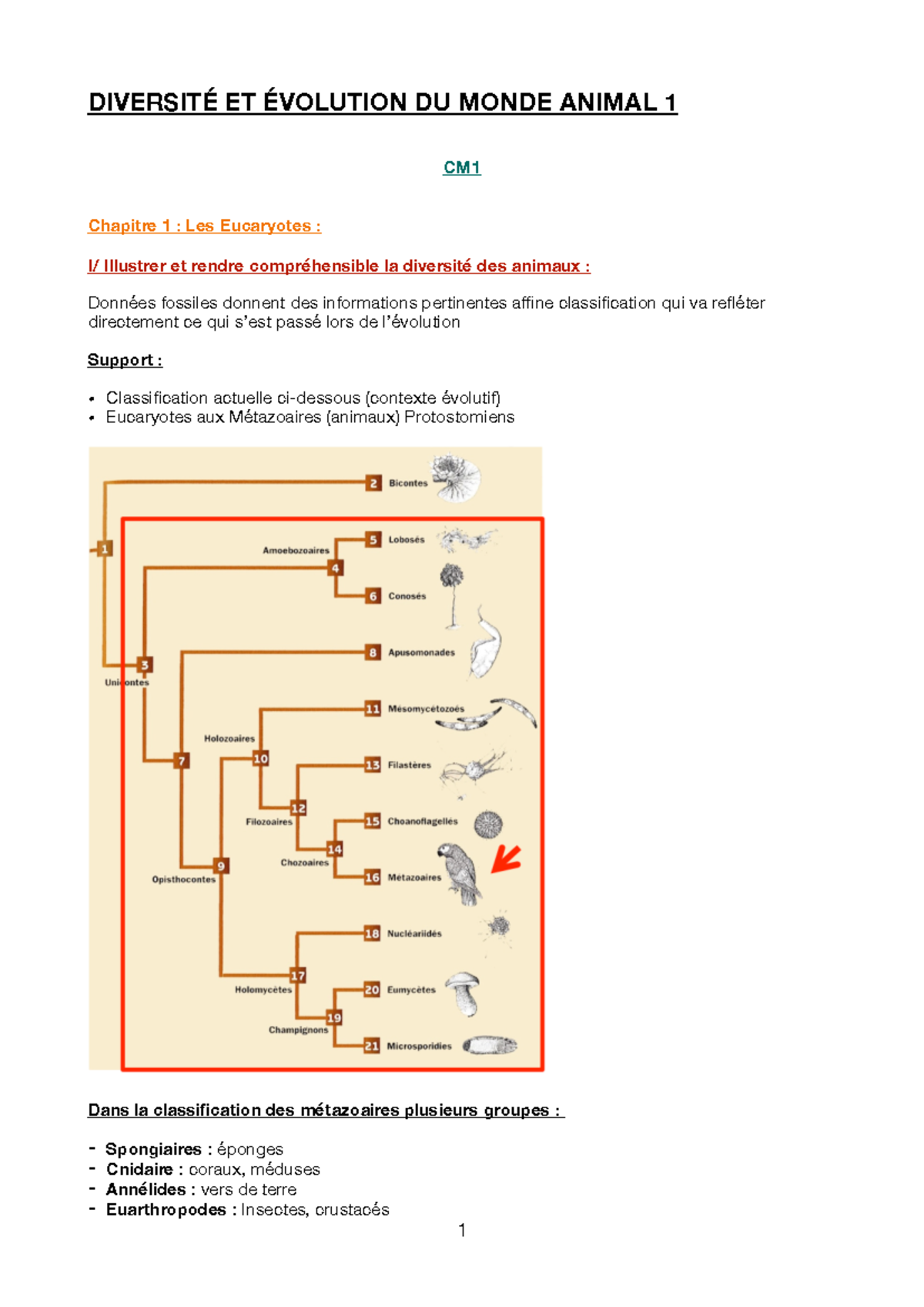 Monde Animal 1 copie - Notes de cours complètes - DIVERSITÉ ET ...