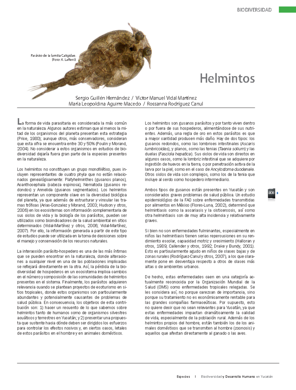 22 Helmintos - Estructura y clasificación - Especies I Biodiversidad y ...