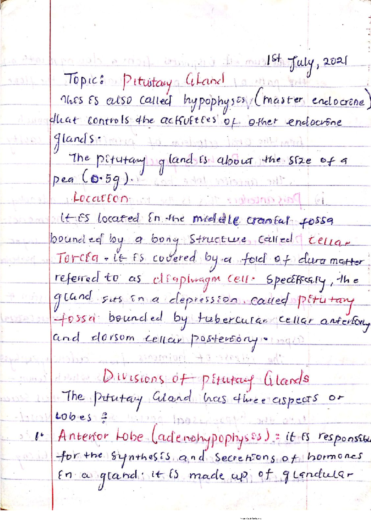 ANAT 312 ( Histology) - well explained summary and lecture note on ...