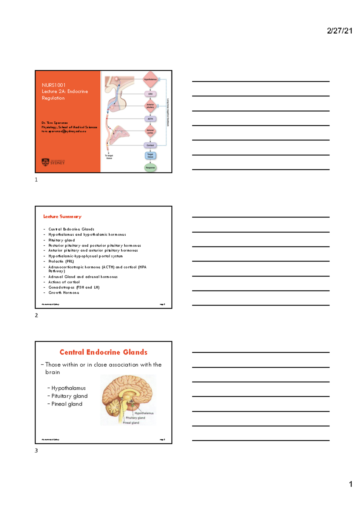 Lecture 2A - Endocrine Physiology Handout - The University of Sydney ...