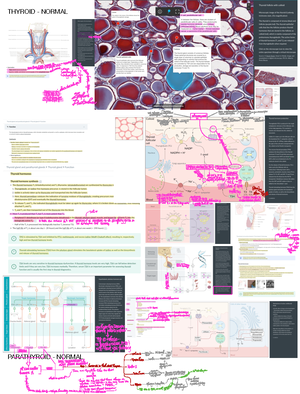 DHD 101- Week 10 Assignment - Aya Ghalyon Nicole Batson Section: 39990 ...