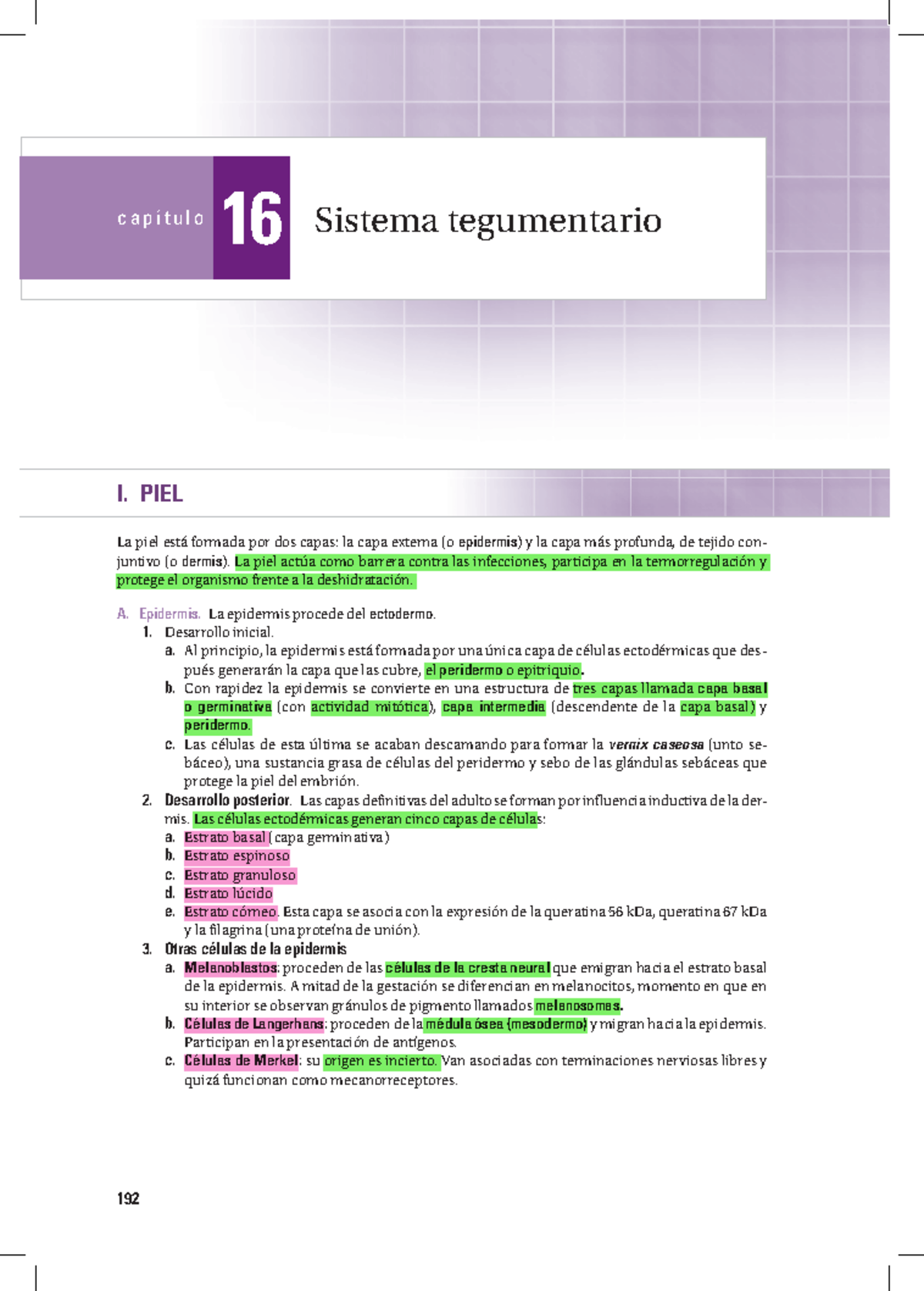 Ojo y Oído - Lagman embriologia medica - ####### 192 Sistema ...