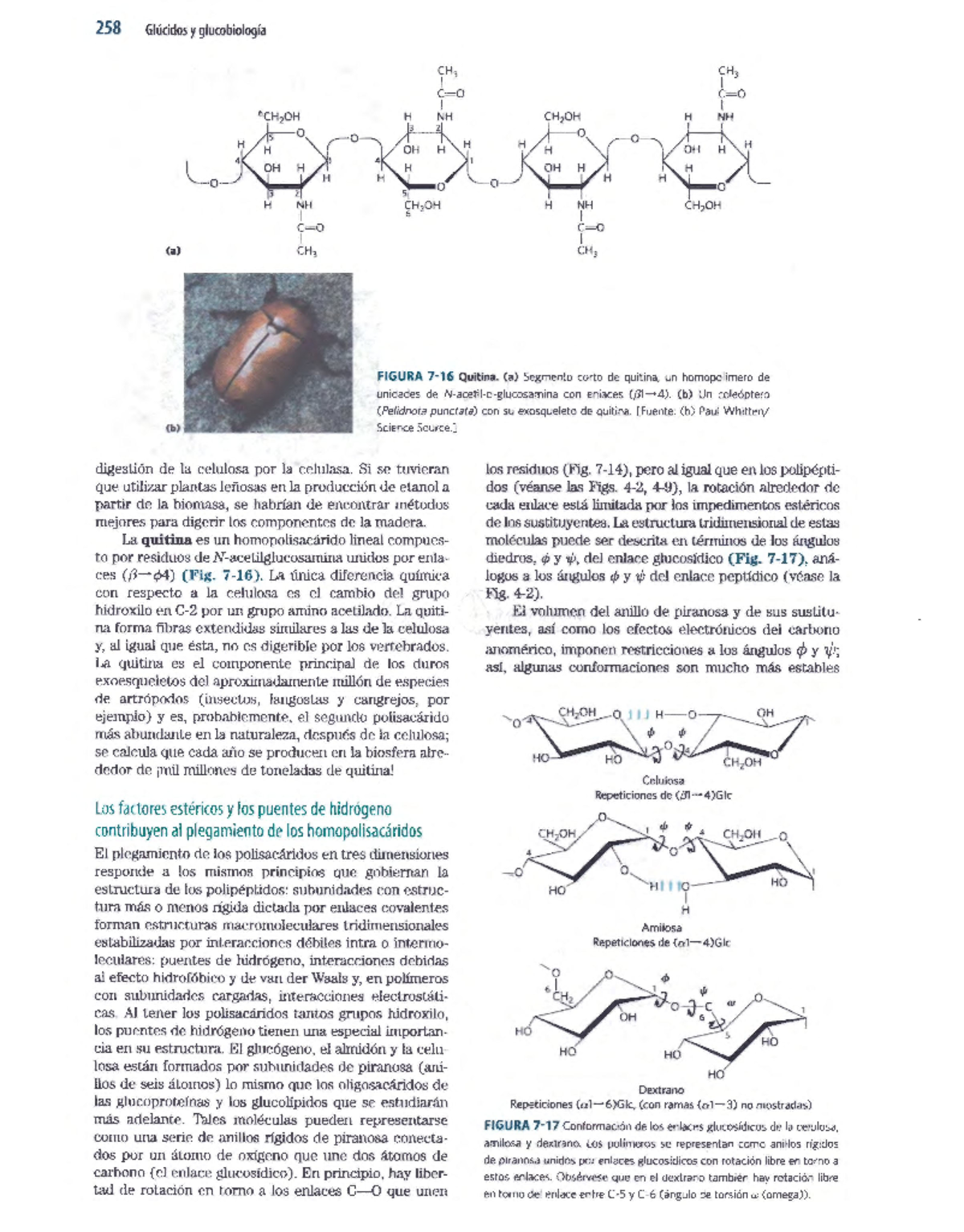 Biblios parcial 2 clases 14 -16 bioca - 258 Glúcidos y glucobiología ...