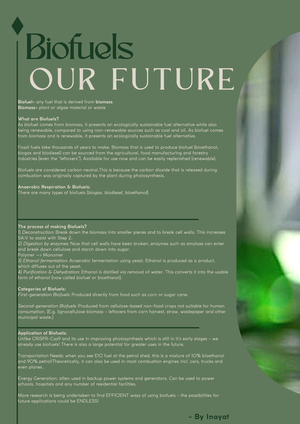 26 Gas Exchange in animals - Gas Exchange in Animals Bio Factsheet ...