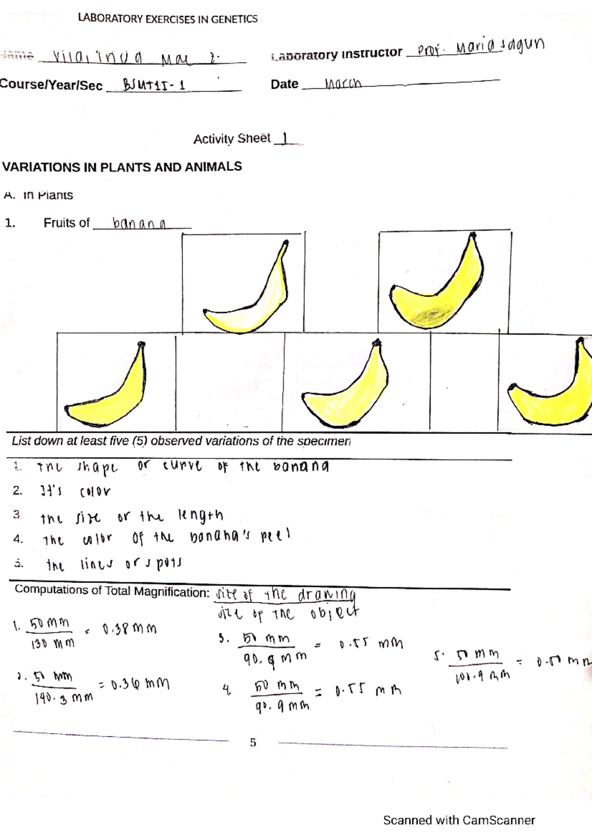 Module 1 Exercise no. 1 - Human Genetics with Cytogenetics - Studocu