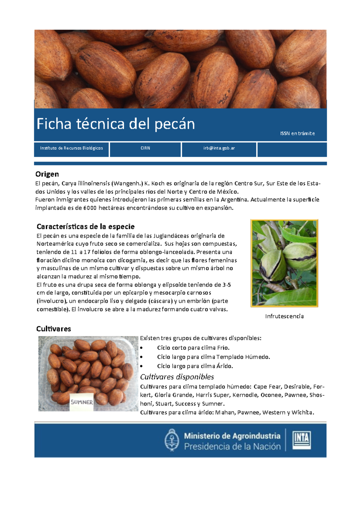 Ficha de pecan may 21 mayo 2018 - Ficha técnica del pecán ISSN en ...