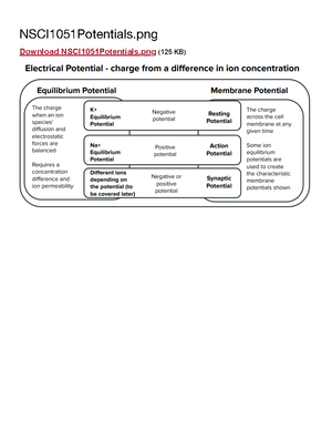 Concept Map - Potentials - NSCI 1051 - Studocu