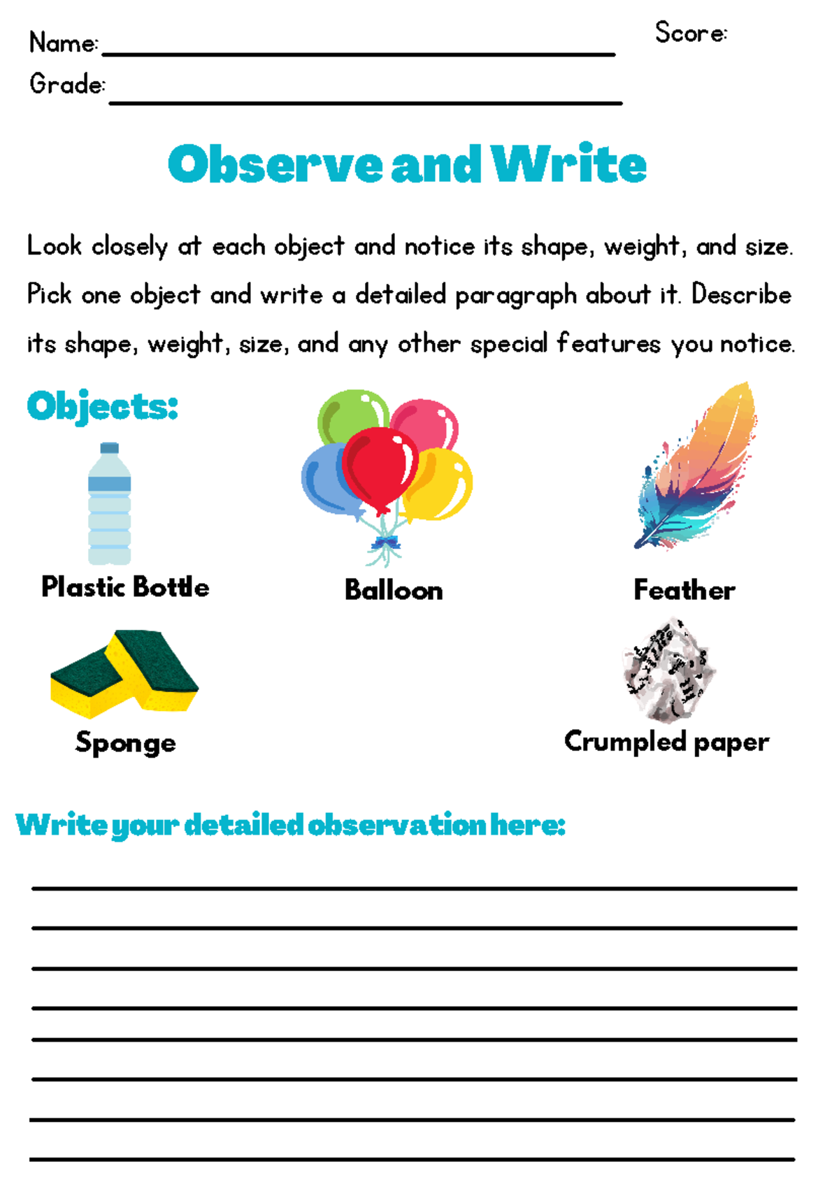 Grade 3 Assessment Observation and Descriptive Writing - ELementary ...