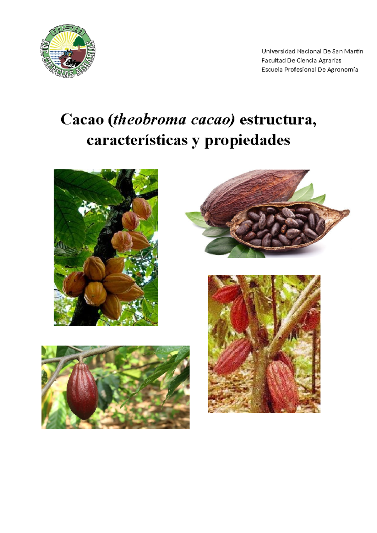 Cacao (theobroma cacao) Avance 1 - Cacao (theobroma cacao) estructura ...