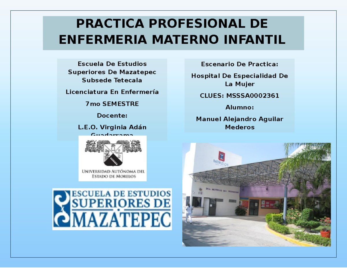 Pae Materno Pae Practica Profesional De Enfermeria Materno Infantil