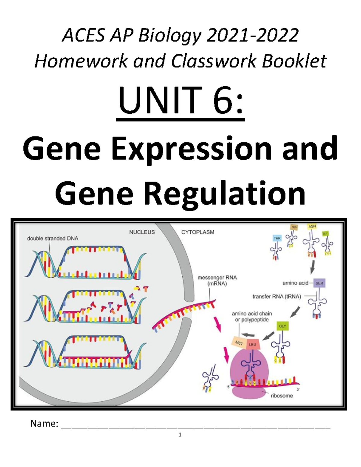 UNIT 6 GENE Expression AND Regulation Booklet 2022 - ACES AP Biology ...