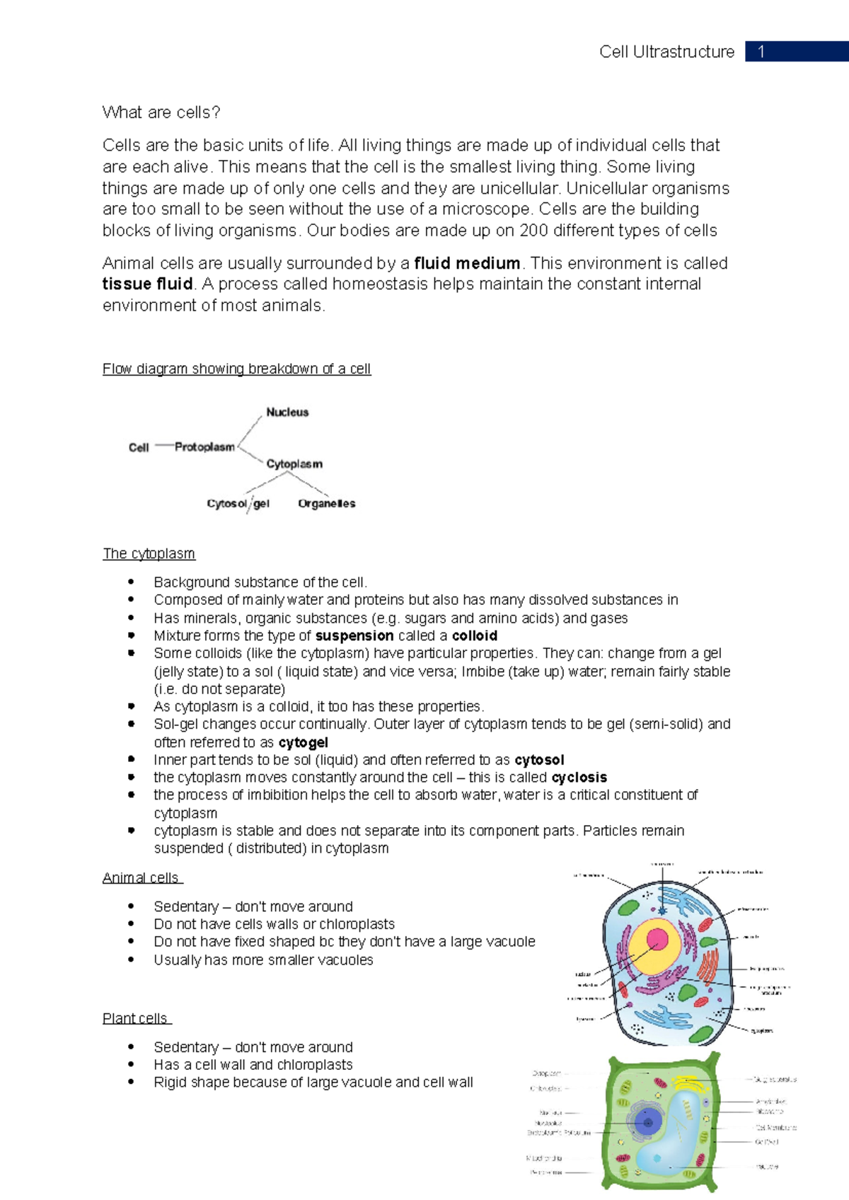 Cell Ultrastructure Notes - What are cells? Cells are the basic units ...