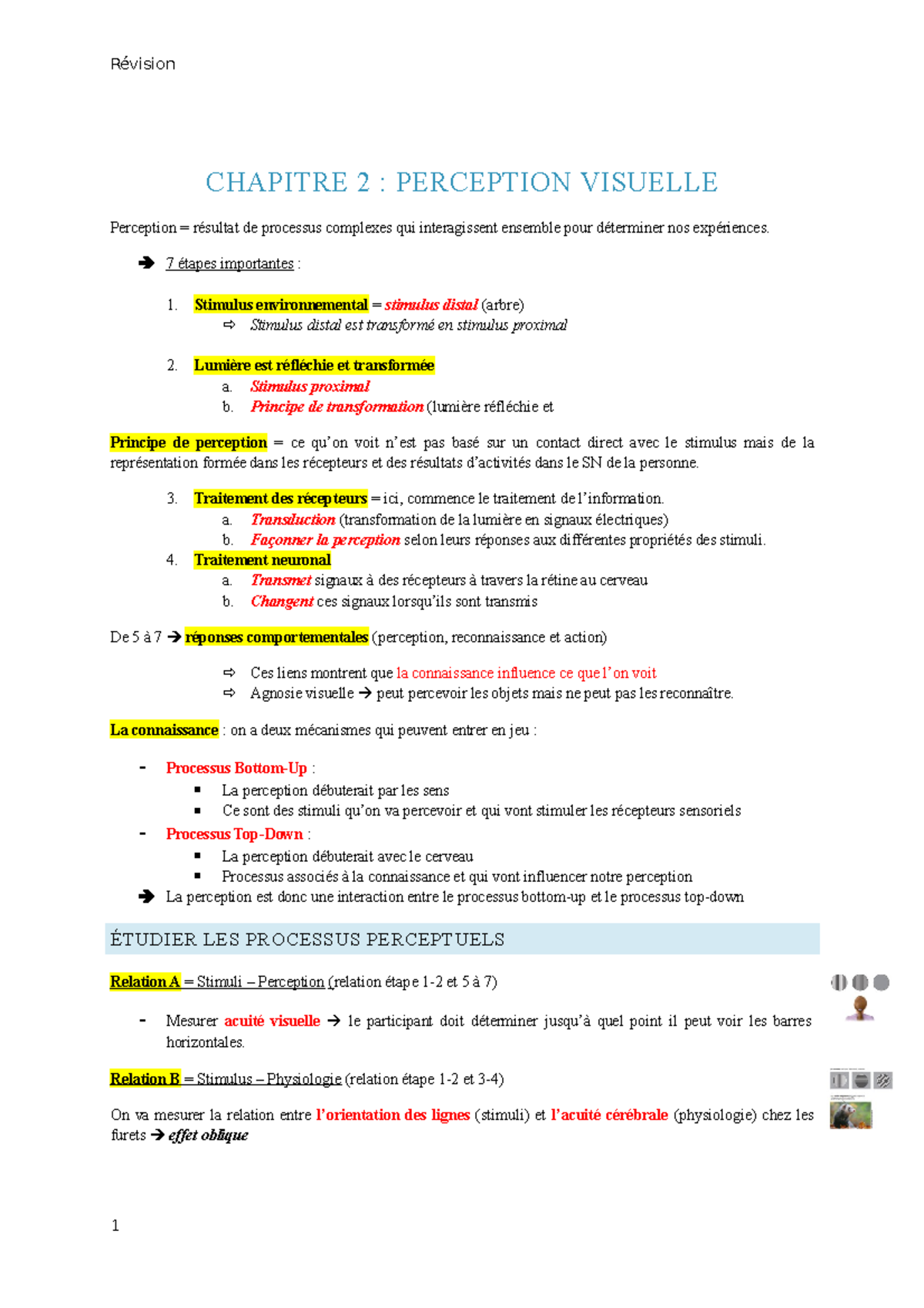 Chapitre 2 Perception - Resumé - CHAPITRE 2 : PERCEPTION VISUELLE ...