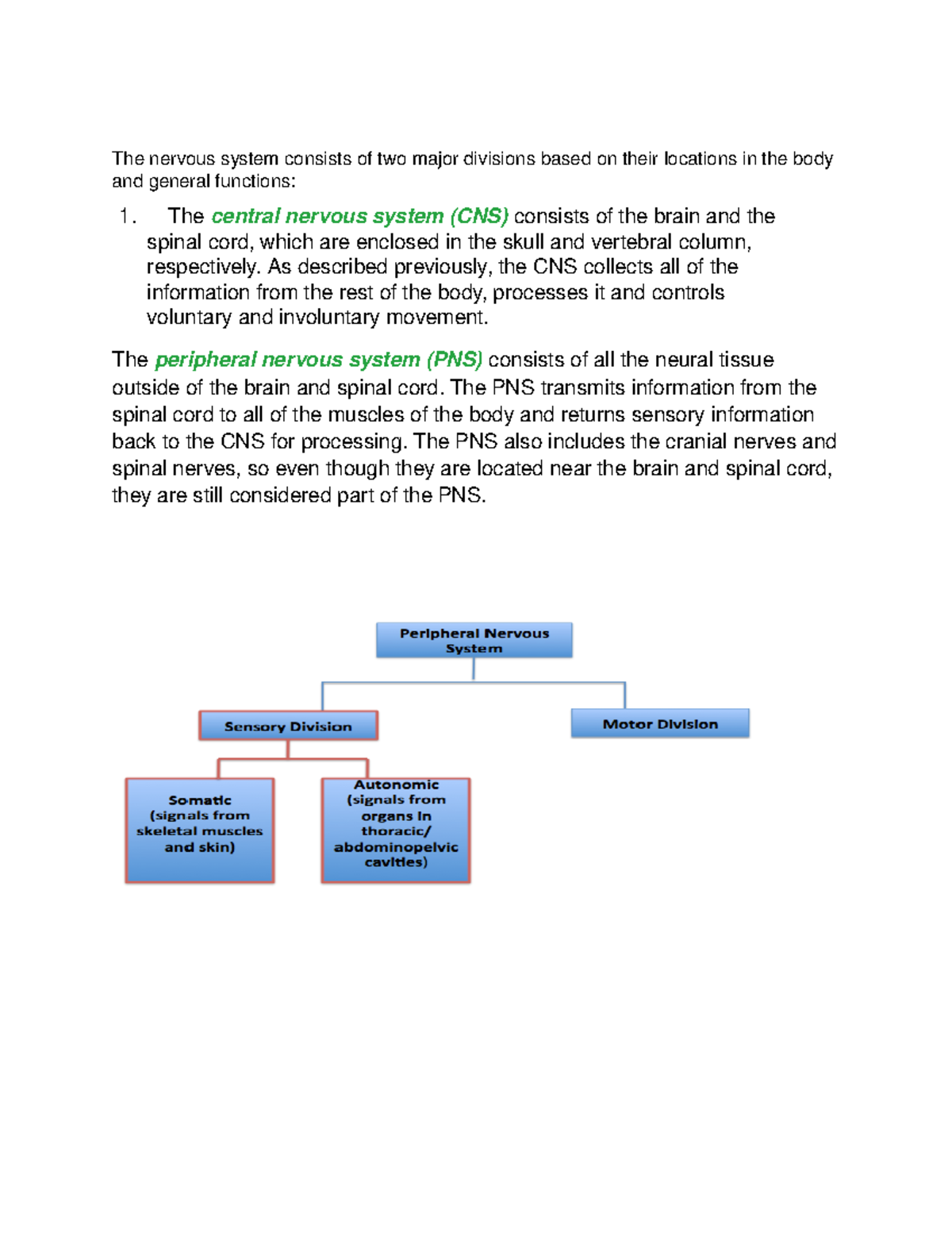 Anatomy and physiology nervous system - The nervous system consists of ...