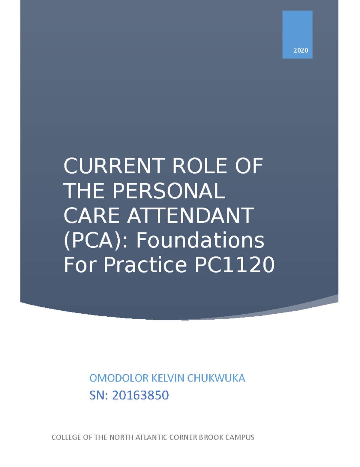 ROLE OF THE PCA PC1120 - role of the PCA - CURRENT ROLE OF THE PERSONAL ...