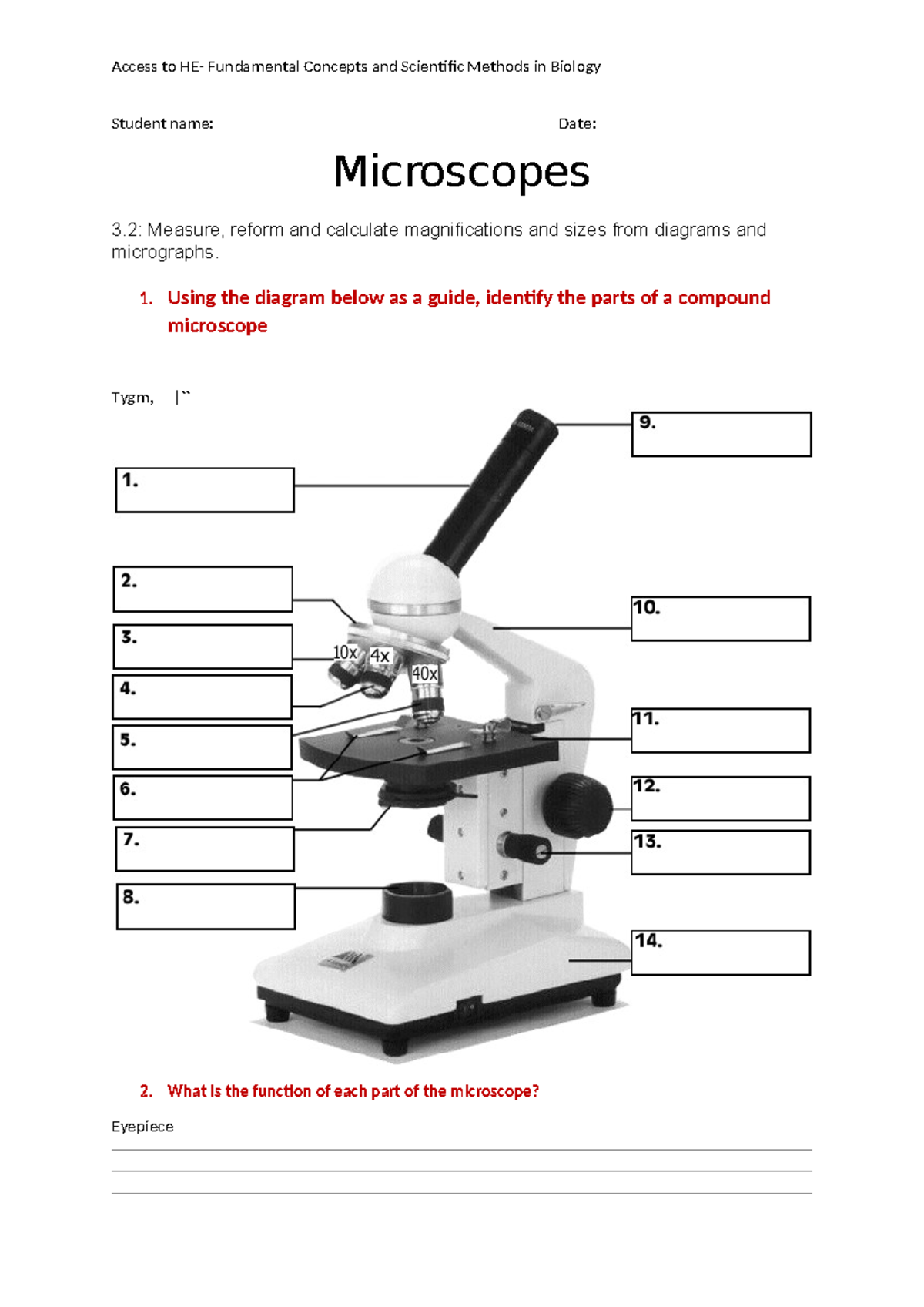 Microscopes worksheet - Student name: Date: Microscopes 3: Measure ...