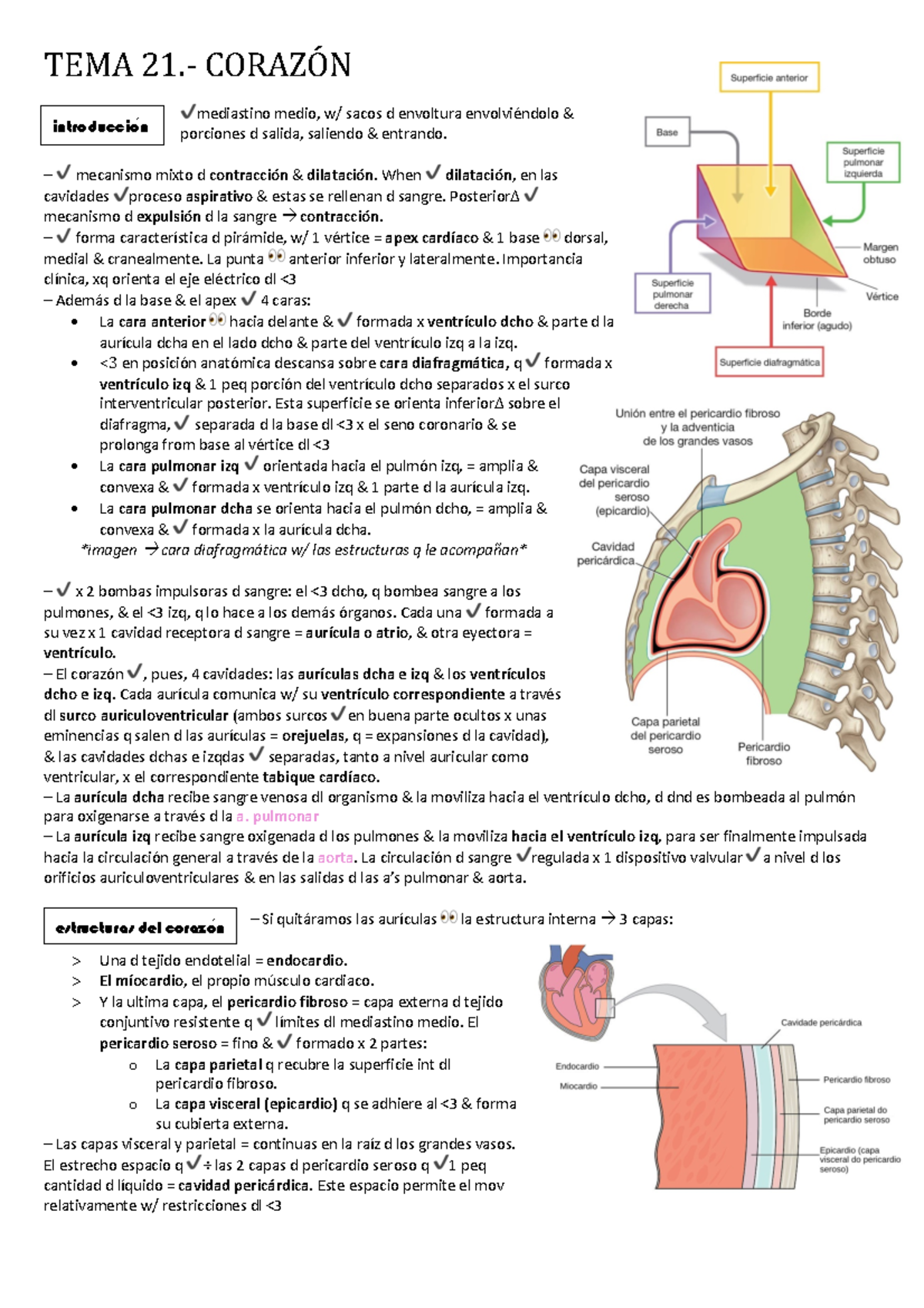 Corazón Apuntes 5 Warning Tt Undefined Function 32 Warning Tt Undefined Function 32