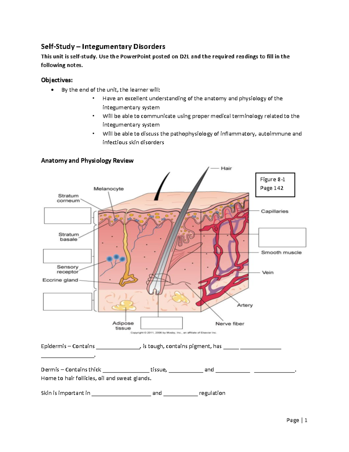 Self-Study Integumentary System Notes - Self-Study – Integumentary ...
