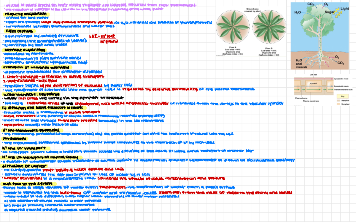 Bio lecture 10 - bio - success or plants depend on their ...