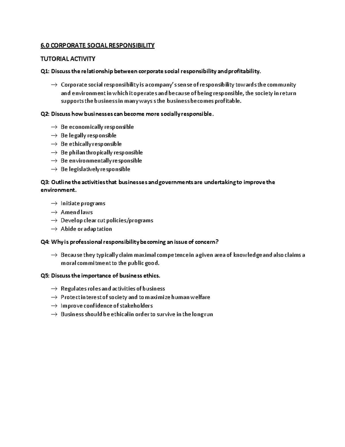 6.0 Corporate Social Ressponsibility activity - 6 CORPORATE SOCIAL ...