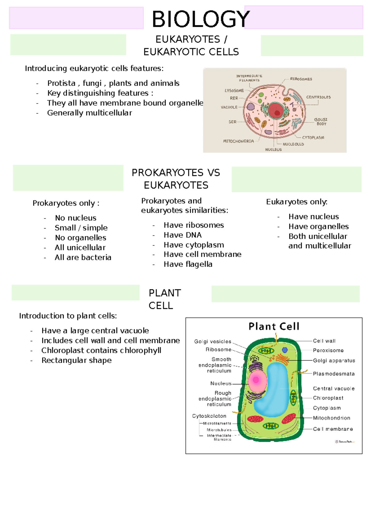 Biology T4 - Introducing eukaryotic cells features: Protista , fungi ...