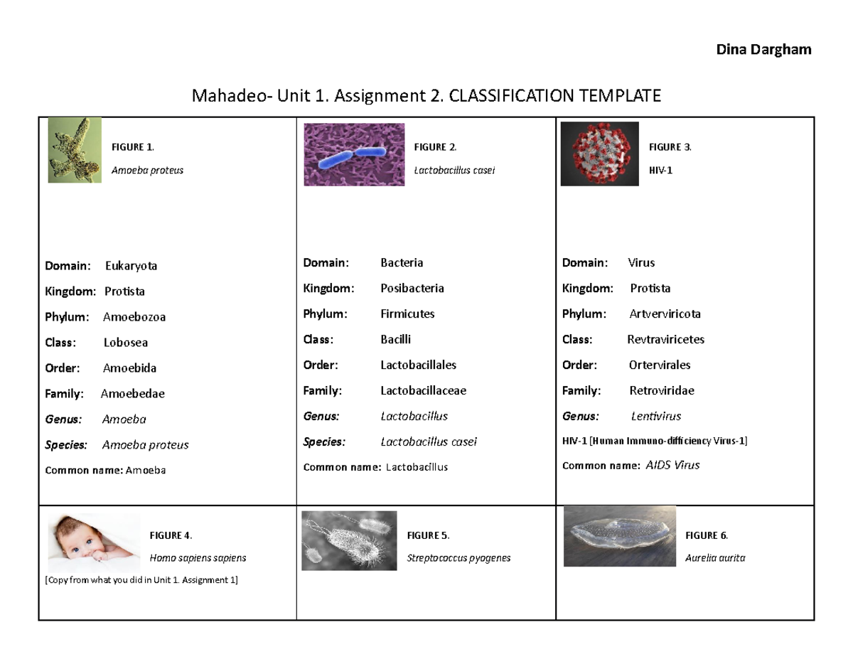 Discussion 3-1.2 Classification Template (2) (1) - Dina Dargham Mahadeo ...