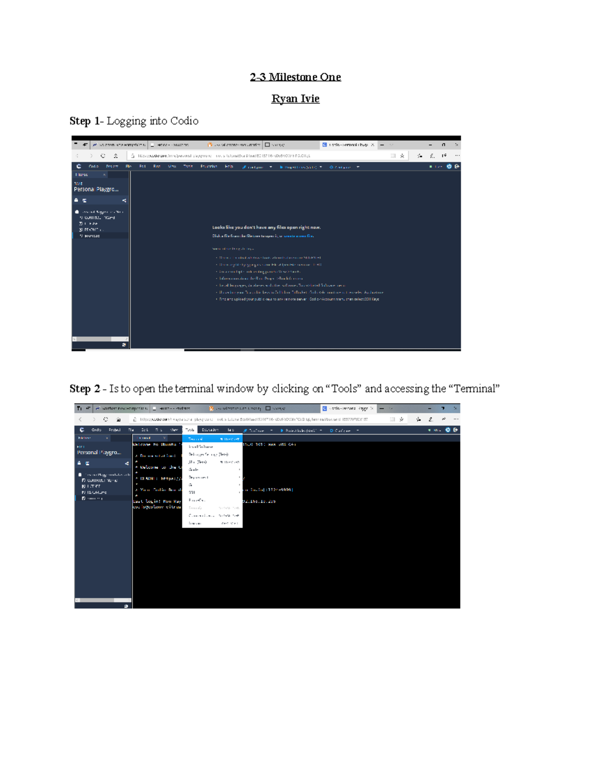 2-3 Milestone - This is done by stating CREATE DATABASE hr; , this will ...