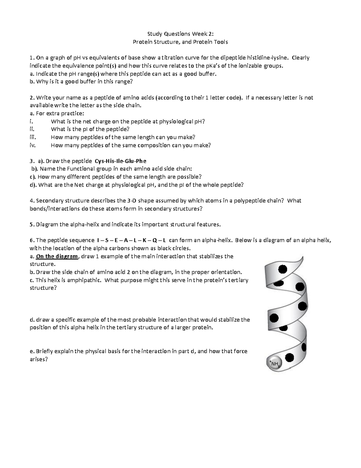 Week 2 study questions - Study Questions Week 2: Protein Structure, and ...