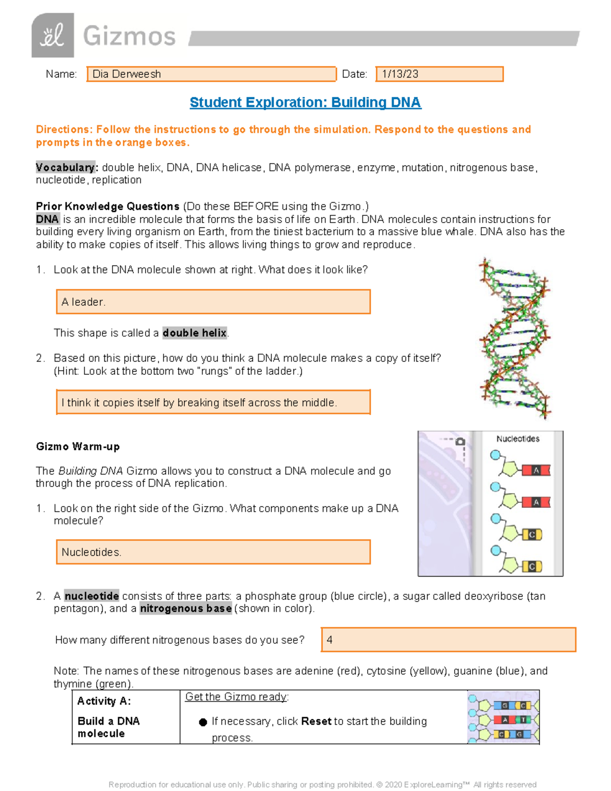 Copy of 2023 Building DNA Gizmo - Name: Dia Derweesh Date: 1/13 ...