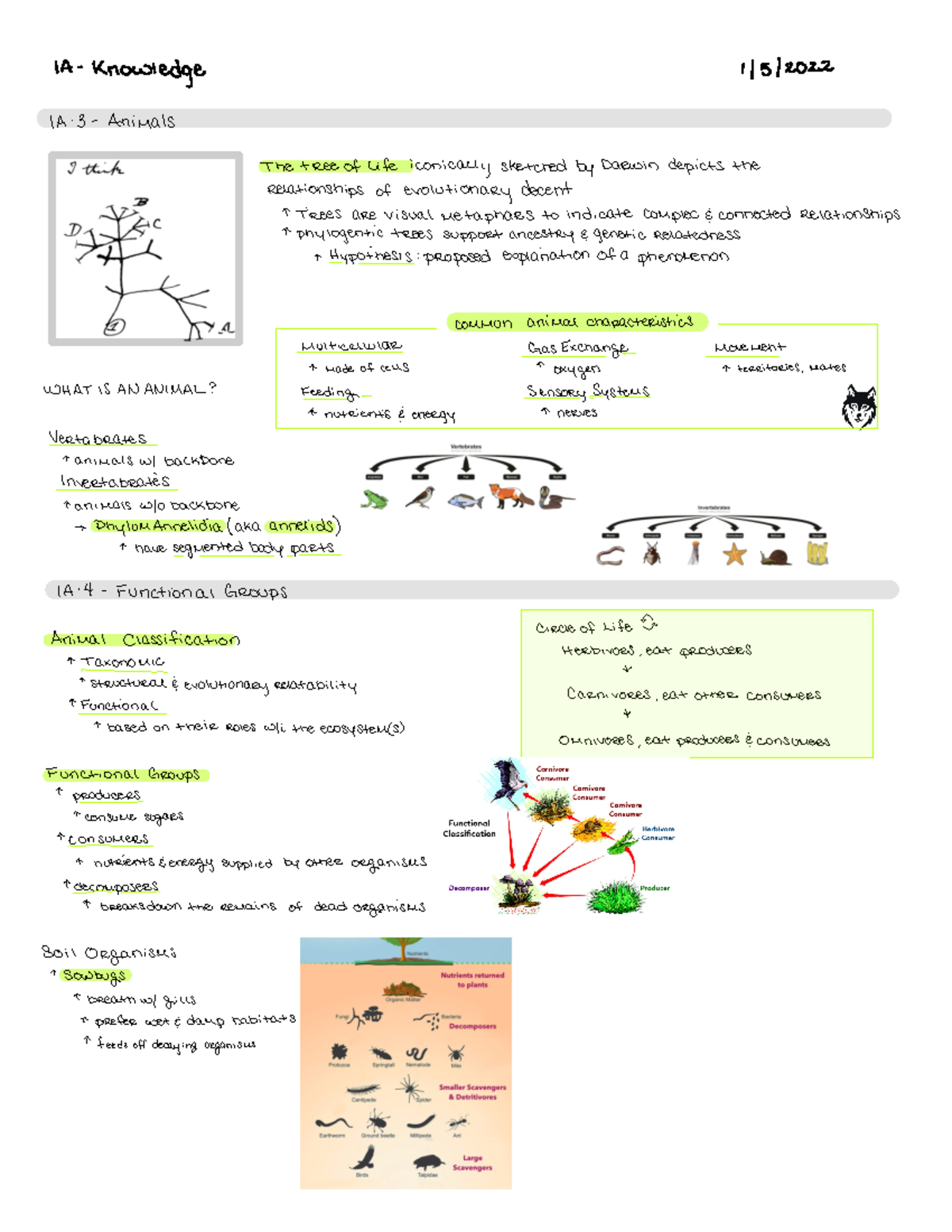 1A: Animal Basics + Functional Groups - BI 102 - OSU - Studocu