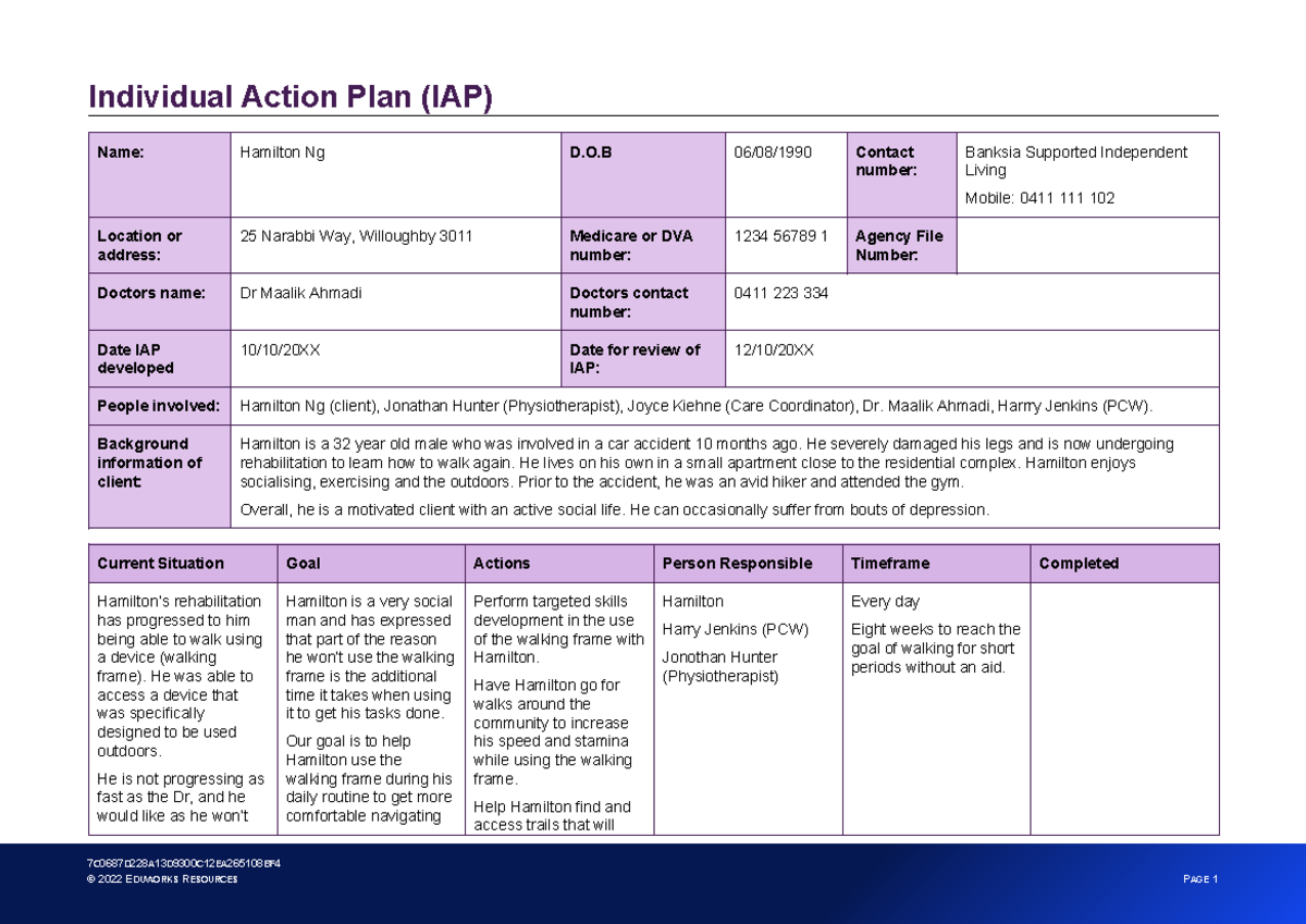 Work-in-Disability-SD-Individual-Action-Plan-Hamilton-Ng-V2 0- ID-2016 ...
