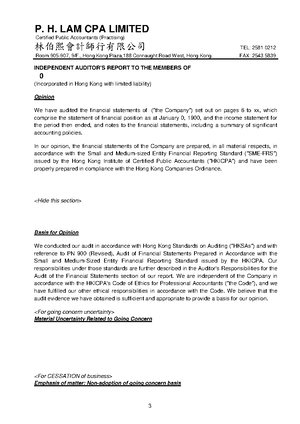 HK Audit report sample PE Disclaimer - Auditing - CityU - Studocu