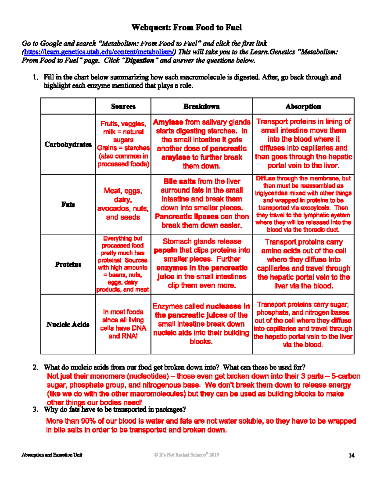 Webquestfood - NSC1500 - Studocu