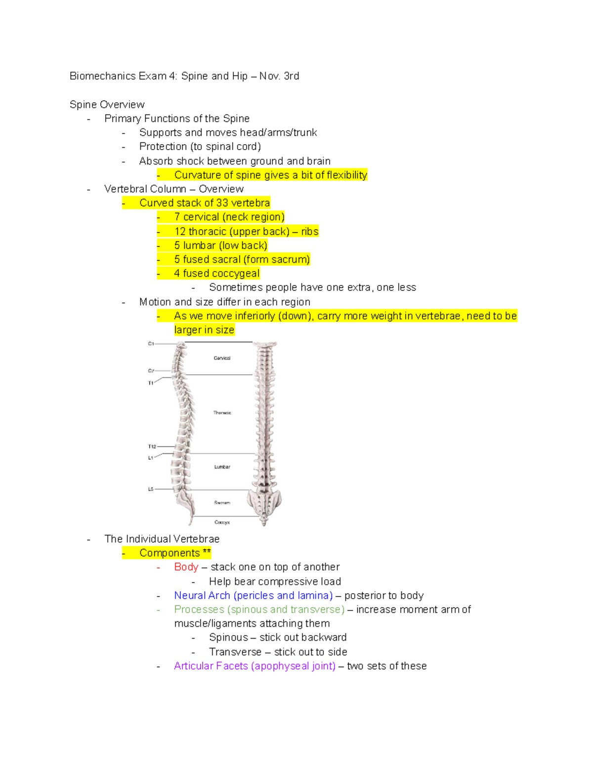 Biomechanics EXAM 4 (notes) - Biomechanics Exam 4: Spine and Hip – Nov ...