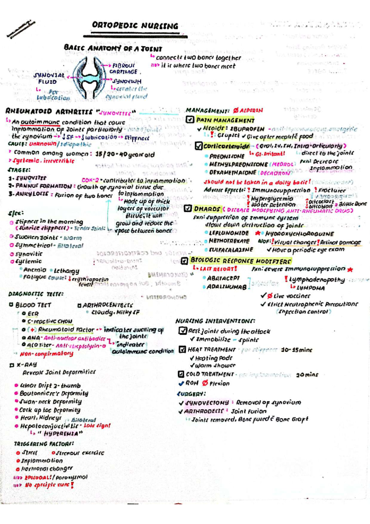 Ortho Notes - ORTOPEDIC NURSING BASIC ANATOMY OF A JOINT connects two ...