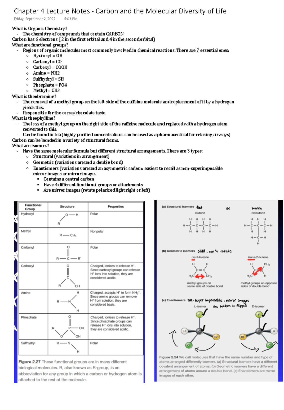 Chapter 4 Lecture Notes - Carbon and the Molecular Diversity of Life ...