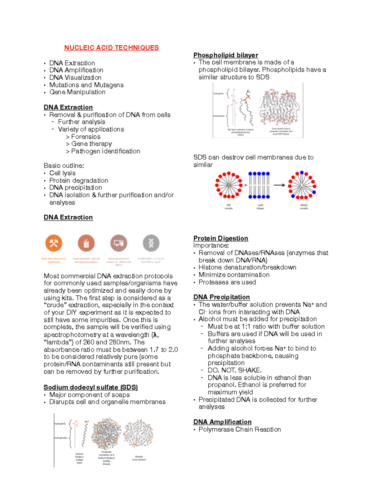 2 Nucleic ACID Techniques - NUCLEIC ACID TECHNIQUES DNA Extraction DNA ...