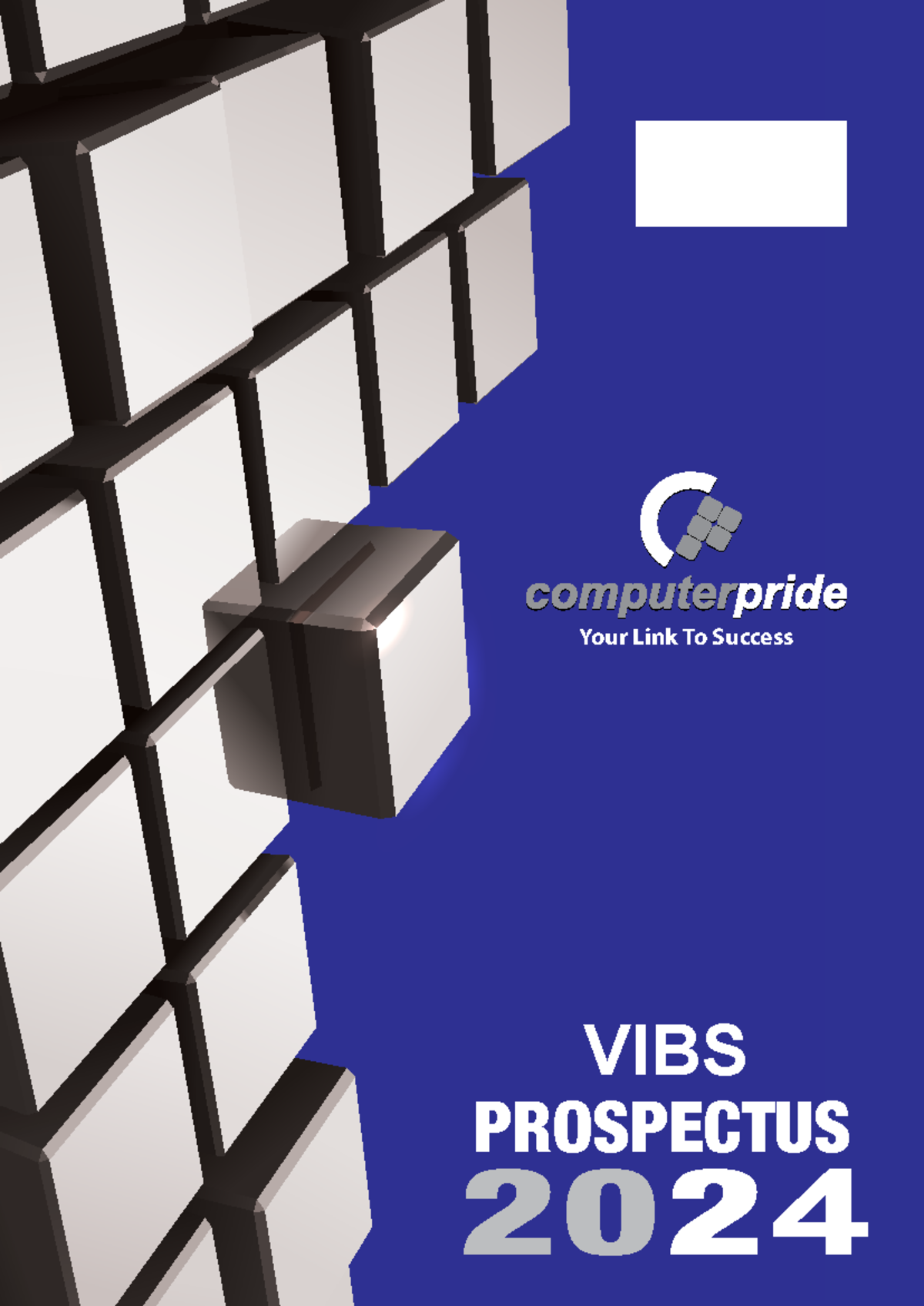 Prospectus 2024-Copy - PROSPECTUS VIBS 2024 Your Link To Success Our ...